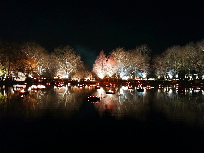 Lichtermeer und Mittelalter (PLWM & MPS) - Weltenschmie.de Blog